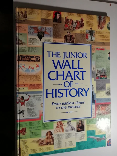 THE JUNIOR WALL Chart of World History Book EUR 17,90 - PicClick IT