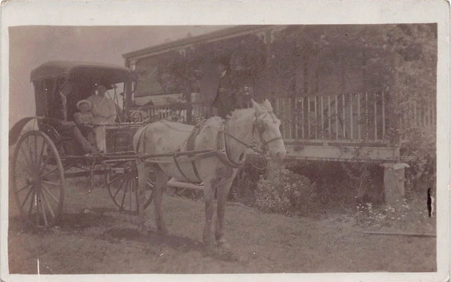 HORSES AND TRAP Child Holding Reins Postcard c1915 $9.44 - PicClick AU