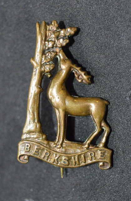 VINTAGE ORIGINAL BERKSHIRE Girlguiding Guides Guiding pin badge £20.00 ...