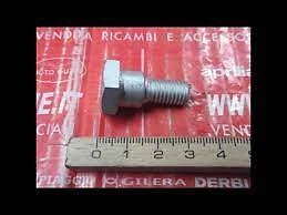 VITE CAVALLETTO LEONARDO Scarabeo Rotax Atlantic 400 500 EUR 5,61 ...