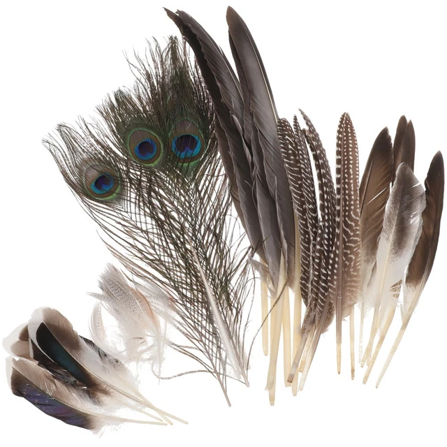 30 PCS PLUMES Fluffy Plumes Natural Plumes Props Decorative Plumes For ...
