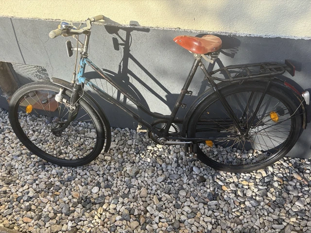 Auswertung Morgen Mann Nostalgie R 252 Cklicht Fahrrad Pendel Seeanemone