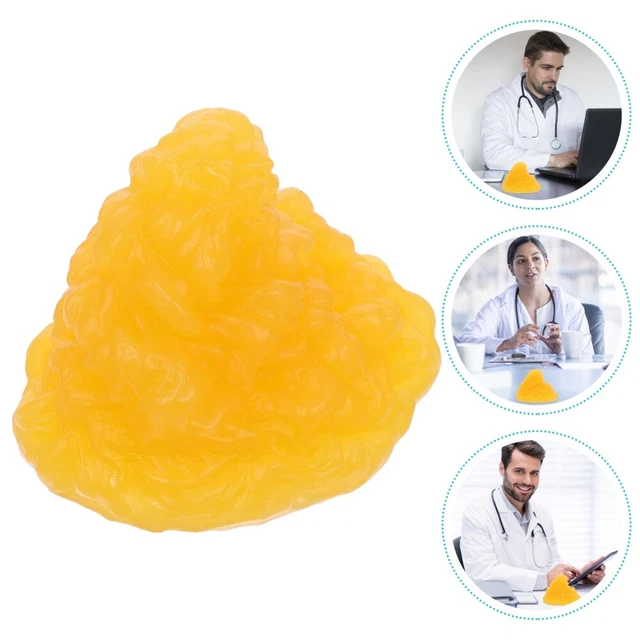 1PC AUTHENTIC PROFESSIONAL Human Fatty Tissue Model Fat Model $27.06 ...