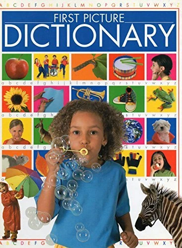 MY FIRST PICTURE Dictionary By Archie Hinkler EUR 47,74 - PicClick FR