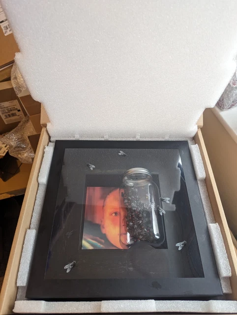 ALICE IN CHAINS Jar of Flies Limited Edition Box Set Tri Coloured Vinyl ...
