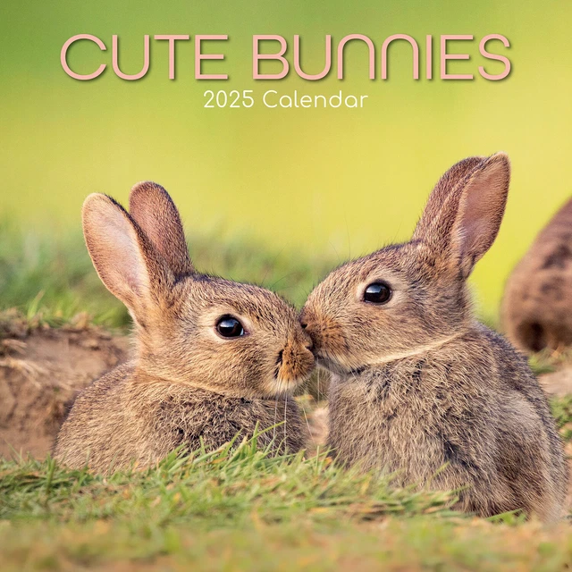 CUTE BUNNIES - 2025 Square Wall Calendar Pets Animals 16 Months Premium ...