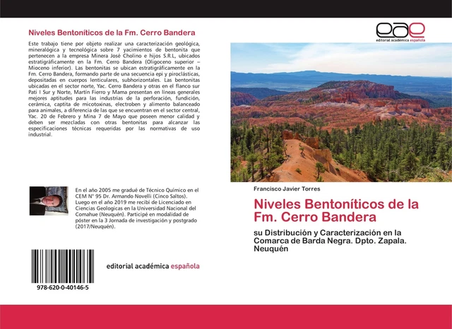 NIVELES BENTONÍTICOS DE la Fm. Cerro Bandera Francisco Javier Torres ...