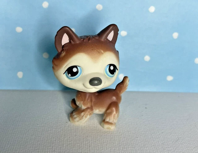 LITTLEST PET SHOP Brown Husky teal eyes 68 LPS authentic see photos EUR ...