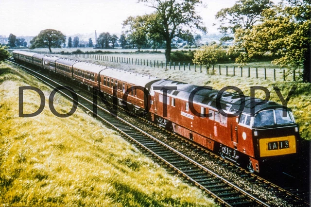UK DIESEL TRAIN Railway Photograph Of Class 52 Western D1053. Rm52-141 ...