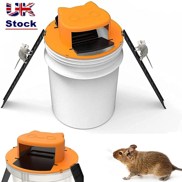 SLIDE BUCKET LID Rat Catching Mouse Trap Rat Trap Mouse Bucket Traps ...
