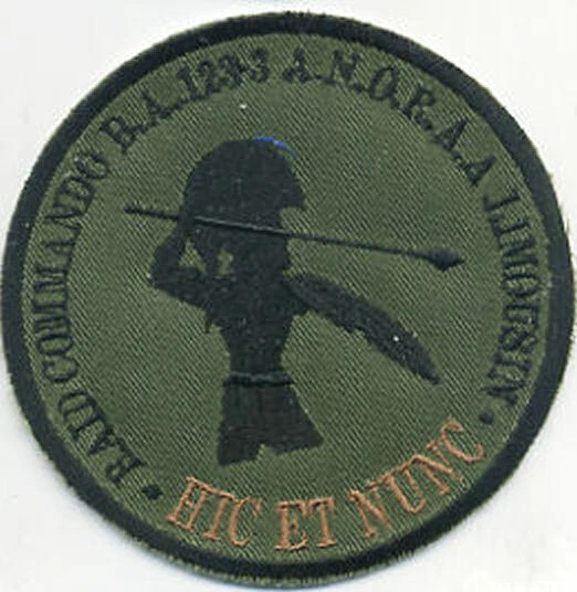 TISSU AVIATION / Raid Commando Anoraa Limousin Base Aerienne 123 - 3 ...