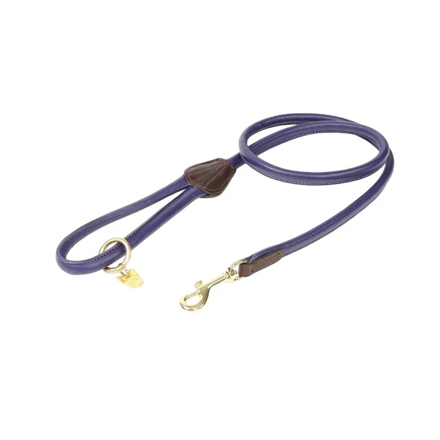 DIGBY & FOX Correa para Perros de Cuero Enrollado (ER2100) EUR 52,76 - PicClick ES