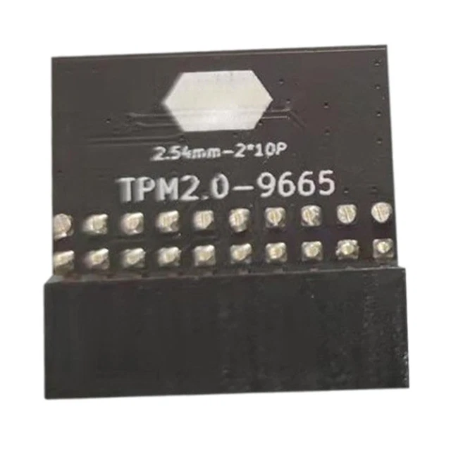 20 PIN PROTECTION Module for Gigabyte Gc-Tpm2.0 Replacement Accessories ...