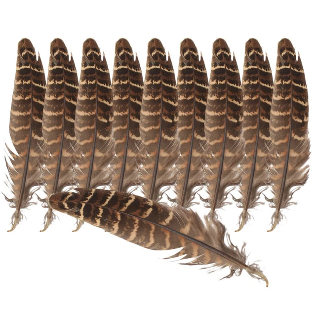 1 BAG PHEASANT Plumes Natural Pheasant Plumes Plumage Costume Crafts ...