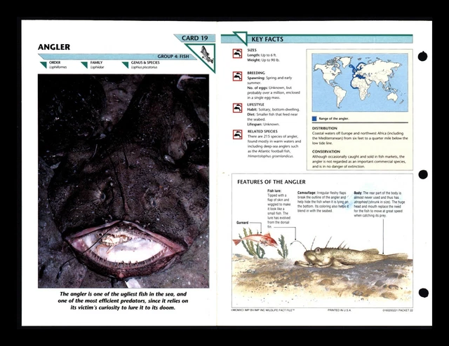 ANGLER WILDLIFE FACT File Fish Animal Card Home School Study 4.19 $3.95 ...