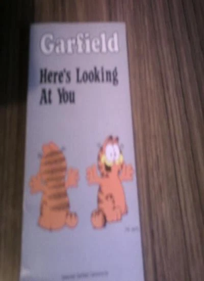 GARFIELD-HERE'S LOOKING AT You (Garfield Pocket Books) By Jim D ...