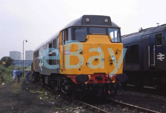 35MM RAILWAY SLIDE of Class 31 31130 @ Rugby - Copyright to Buyer £4.99 ...