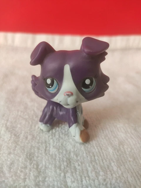 Authentic Littlest Pet Shop lps Collie 1676 Purple Gray lps Short Hair ...