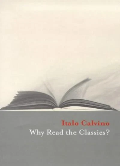 WHY READ THE Classics?,Italo Calvino, Martin McLaughlin £9.69 - PicClick UK