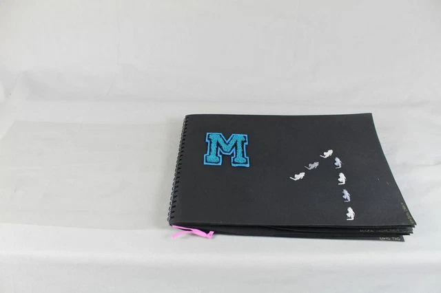 SAMPLE FOLDER SALES Folder Etc. - Various Patches Etc. - Also Known ...
