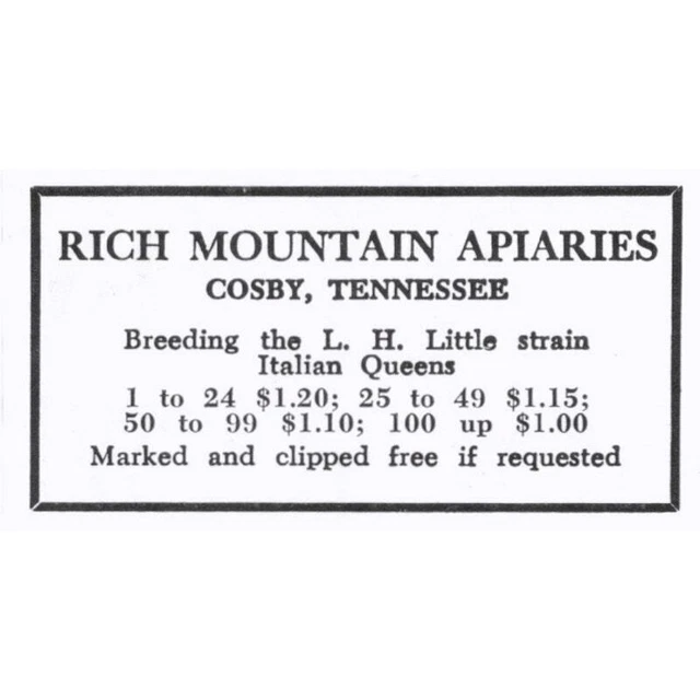 RICH MOUNTAIN APIARIES Italian Queen Bees Cosby TN 1964 Magazine Ad AB6 ...