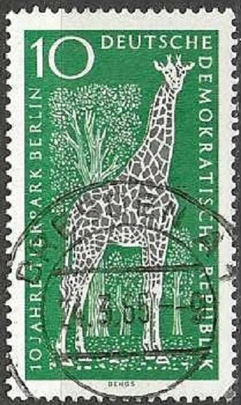 DDR MI. 1093 aus 1965 ORTSVOLLSTEMPEL Dresden A 1 / Angola Giraffe EUR ...