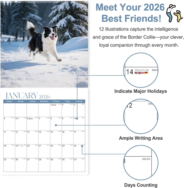 2026 WALL CALENDAR, Calendar 2026, Border Collies Monthly Wall Calendar ...