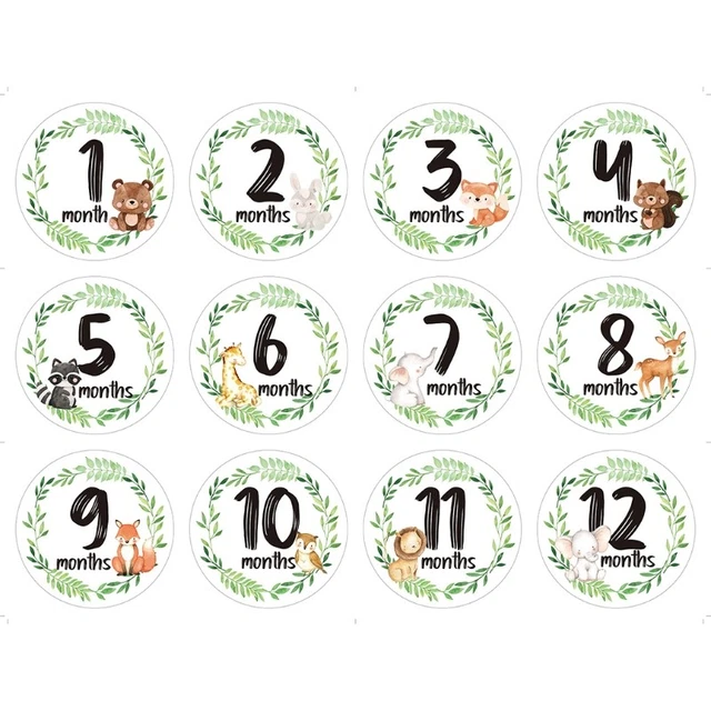 BABY MONTHLY RECORD Cartoon Animal Floral Print Stickers Memorial Month ...