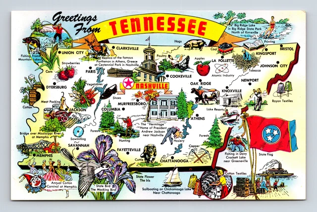 PICTORIAL MAP STATE Bird Flower Flag Greetings From Tennessee TN ...