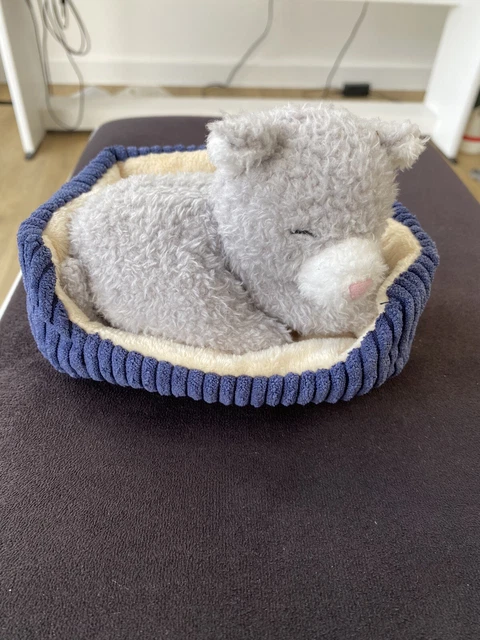 JELLYCAT BNWT I am Napping Nipper Cat £12.00 - PicClick UK