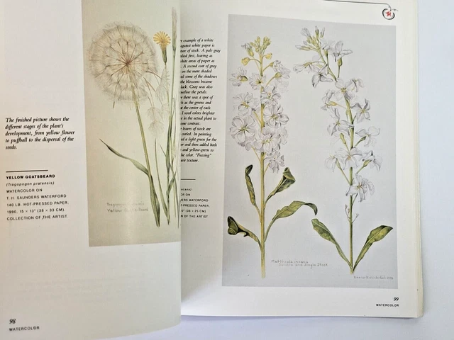 BOTANICAL ILLUSTRATION IN Watercolour by Eleanor Wunderlich (How to ...