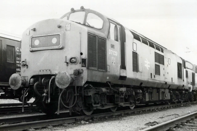 RAILWAY PHOTO 6X4 Class 37 37139 Stabled at Polmadie TMD c1978 £2.00 ...
