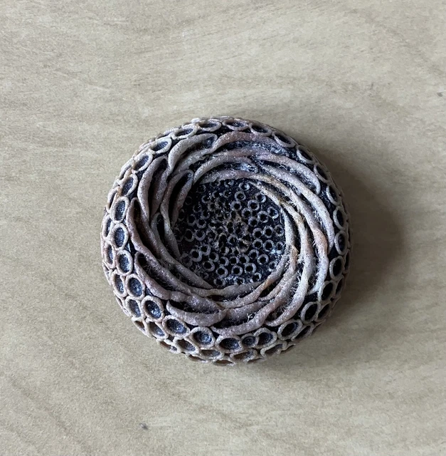 GROS BOUTON ANCIEN Talosel ? Line Vautrin ? EUR 8,00 - PicClick FR