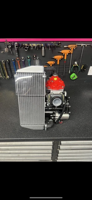 2022 ROTAX MAX EVO ENGINE Fr125 Otk Go Kart Chassis Otk £2,250.00 ...