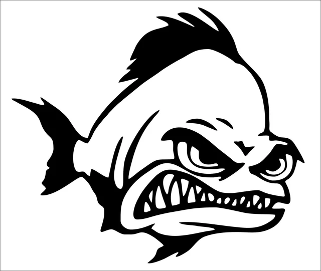 ANGRY FISH VINYL sticker funny car decal van graphics campervan large ...