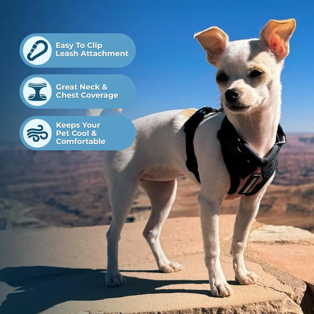 VOYAGER STEP-IN LOCK Dog Harness - Adjustable Step-In Vest Harness for ...