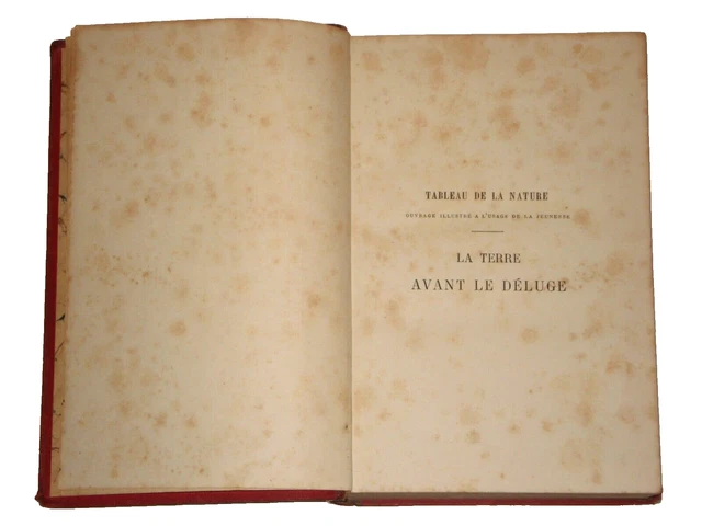 OTTOCENTINE LIBRI ANTICHI e da collezione dal 1800 al 1899 volumi rari ...