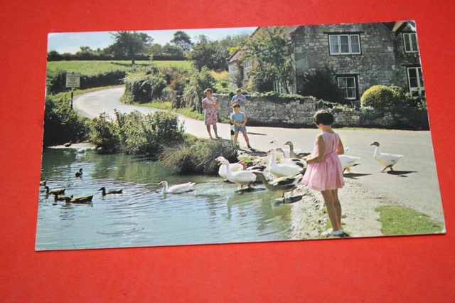 VINTAGE POSTCARD 1970's ,Bembridge , The Duck Pond , Isle of Wight £0. ...