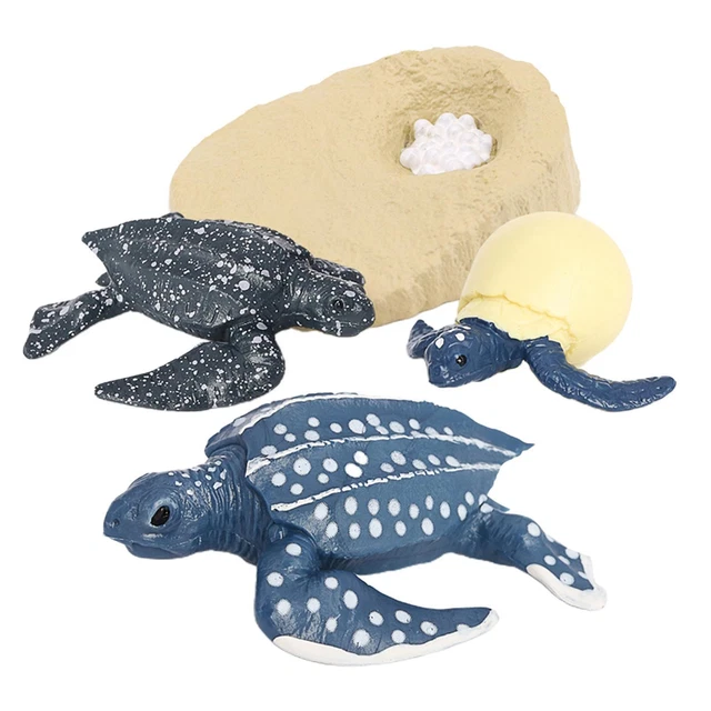 ANIMAL LIFE CYCLE Model Set Leatherback Turtle Growth Cycle £10.08 ...