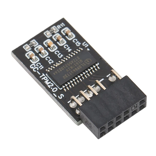 MODULE DE SÉCURITÉ de Cryptage TPM 2.0 Compatible avec la Carte à ...