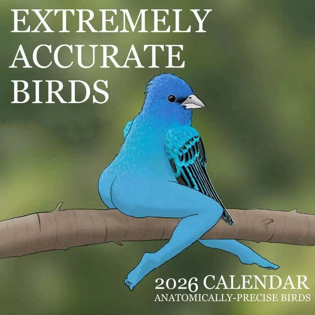 2026 CALENDAR OF EXTREMELY ACCURATE BIRDS 2026 Bird Calendar Wall ...