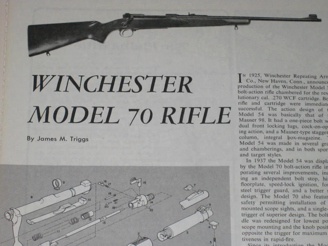 WINCHESTER PRE-64 MODEL 70 Rifle Exploded View £6.18 - PicClick UK