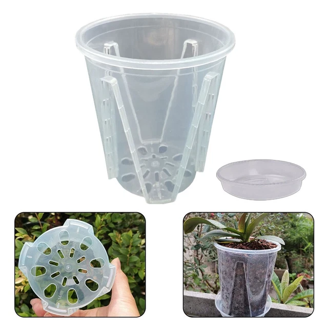 CLEAR PLASTIC FLOWER Containers Choose from 4 Sizes for All Your ...