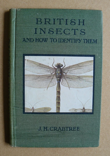BRITISH INSECTS AND how to Identify them by J H Crabtree 1923 First Edition H/B £8.50 - PicClick UK