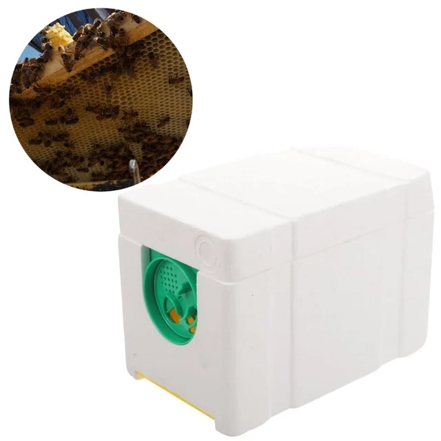 BEES MATING BOX Beekeeping Equipment Pollination Tool Beequeen Rearing Box $32.75 - PicClick AU