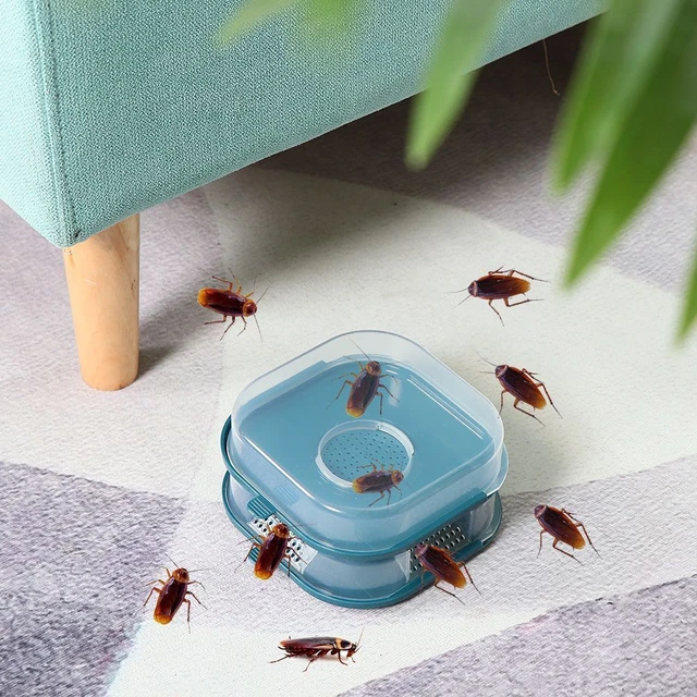 INSECT CATCHER COCKROACH Killer Traps Cockroach Trap Box Bugs Catcher ...