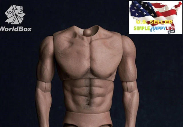 Custom Doll Body Worldbox AT027 1/6 Scale Durable Ripped Body – Super ...