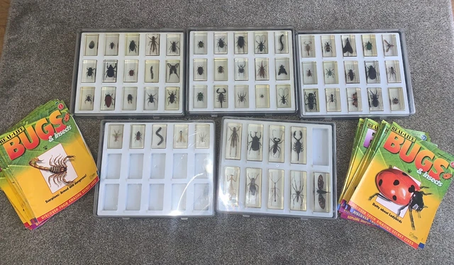 REAL LIFE BUGS And Insects Spiders X 59 Specimens In Resin & Trays ...