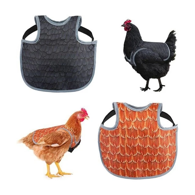 BIRD BACK PROTECTORS Scratch Proof Fabric for Male Bird Mating Injury ...