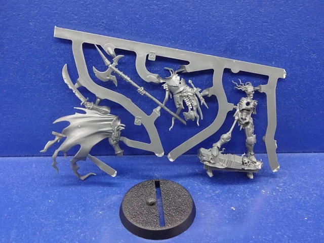 WARHAMMER QUEST CURSED City - Watch Captain Halgrim EUR 12,99 - PicClick DE